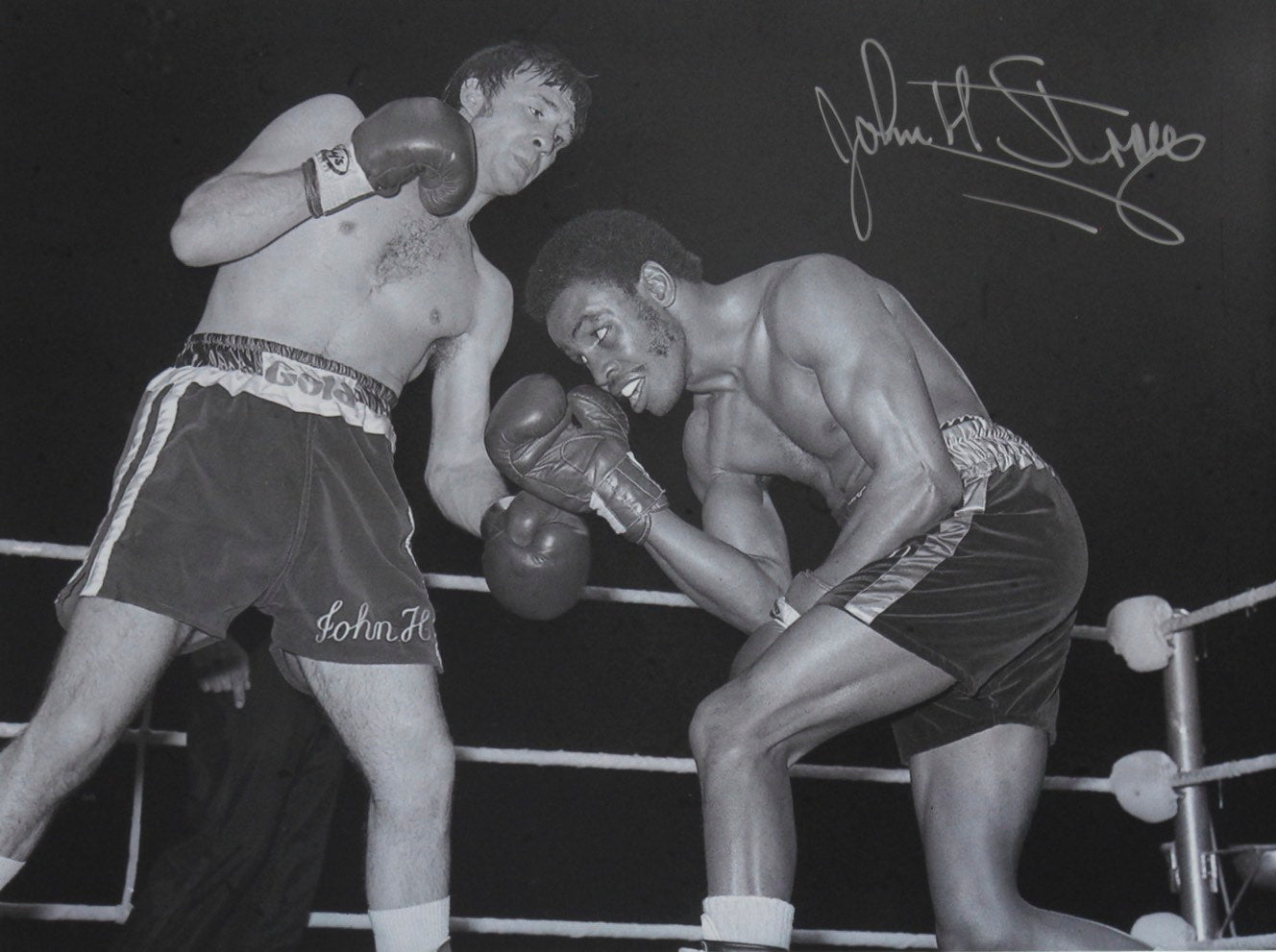 JOHN H STRACEY SIGNED PHOTO FIGHTING HEDGEMON LEWIS PLM40